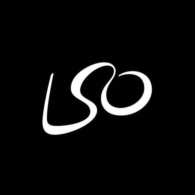 Lso Logo